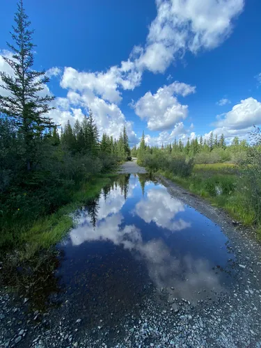 10 Best Trails and Hikes in Yellowknife | AllTrails