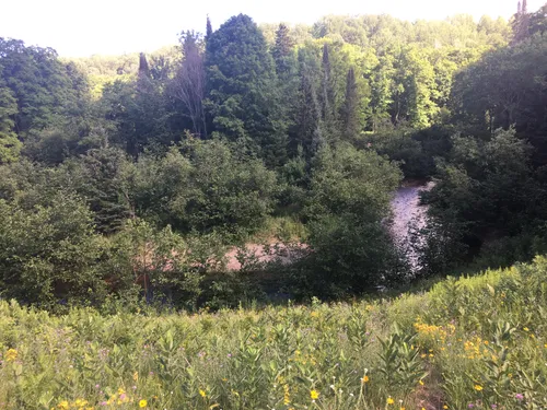 10 Best Hikes and Trails in Escanaba River State Forest | AllTrails