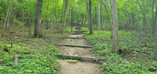 10 Best Trails and Hikes in Rochester | AllTrails
