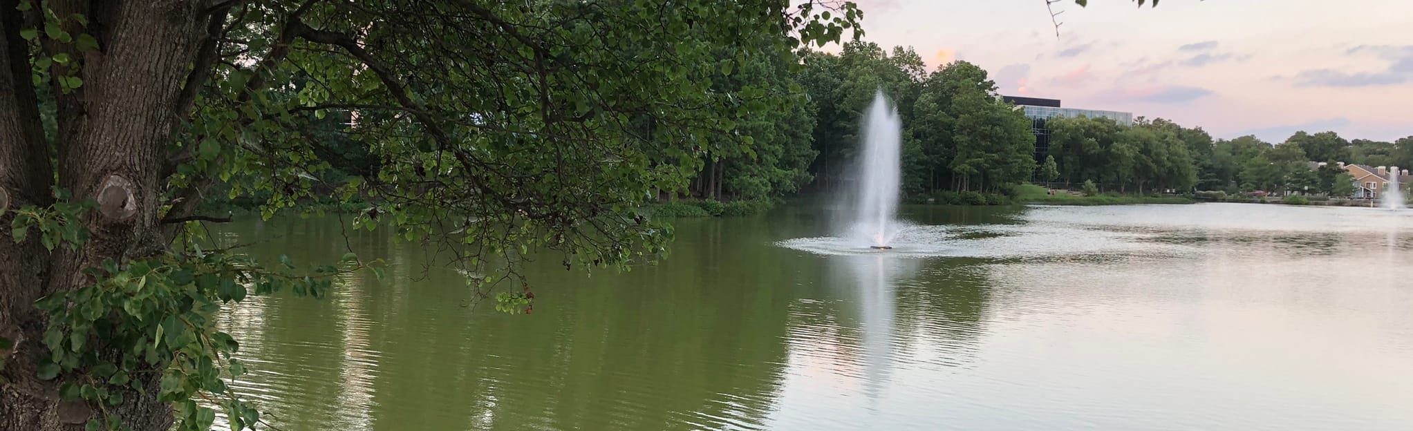 Innsbrook Lakes Trails, Virginia - 253 Reviews, Map | AllTrails