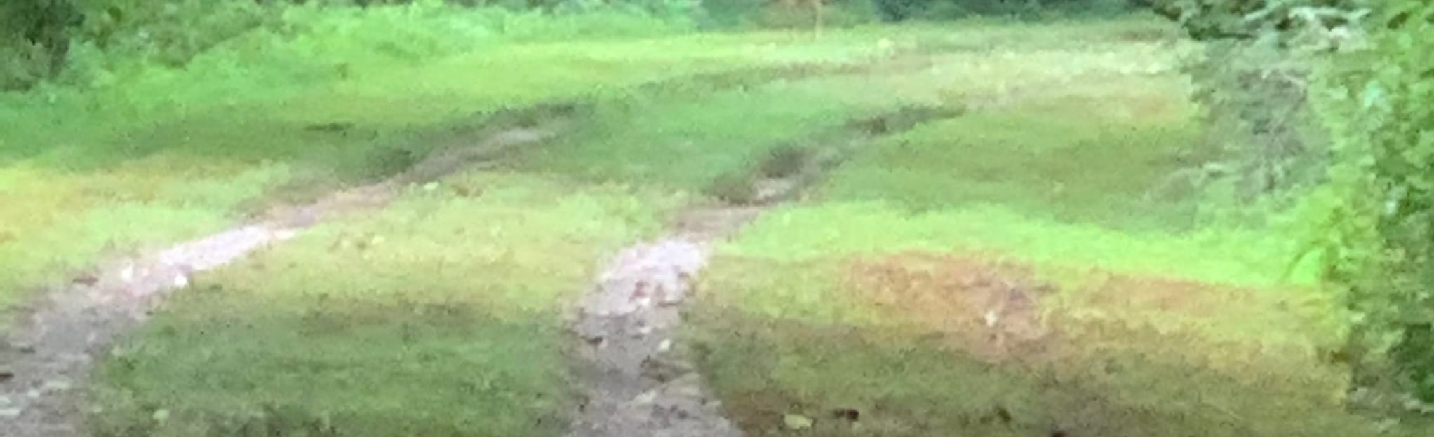 North Bend Rail-Trail: 102 Reviews, Map - West Virginia | AllTrails