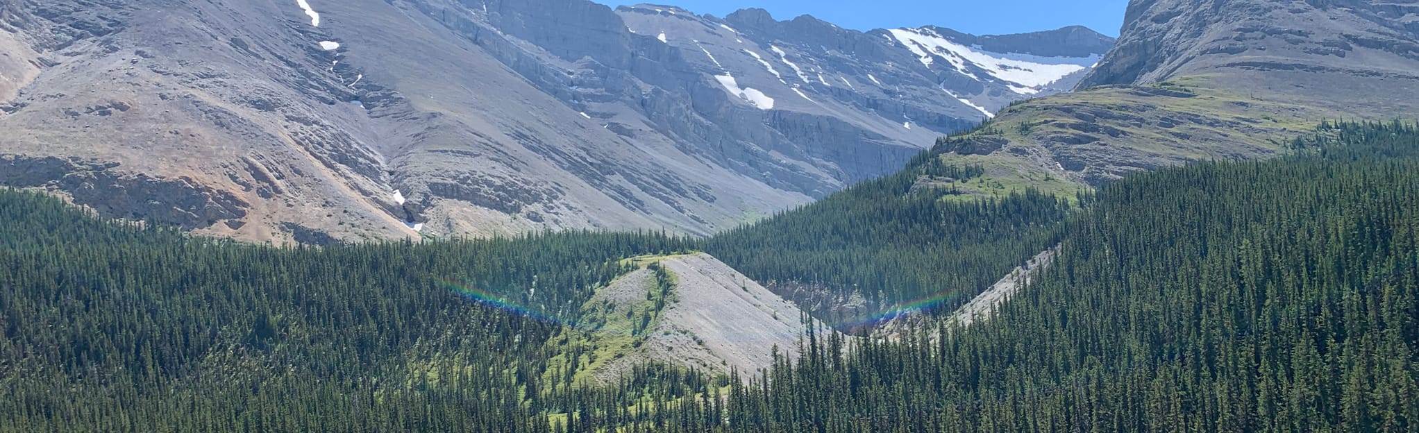 Cardinal Pass Route: 5 Reviews, 2 Photos, Map - Alberta, Canada | AllTrails
