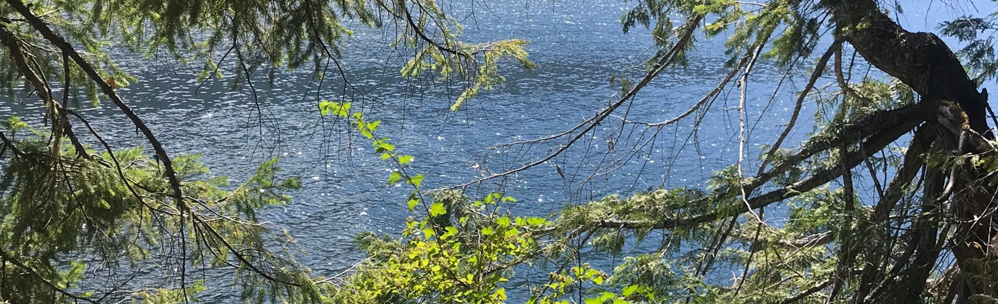 Cameron Lake Paddle, British Columbia, Canada - 8 Reviews, Map | AllTrails