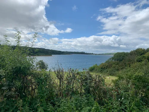 10 Best Walking Trails in Ashbourne | AllTrails