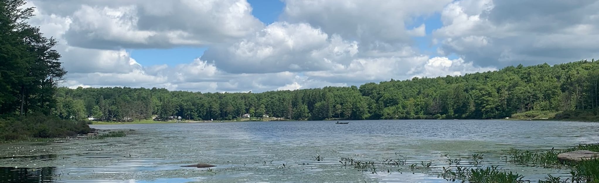 Sunfish Pond Trail: 17 Reviews, Map - Pennsylvania | AllTrails