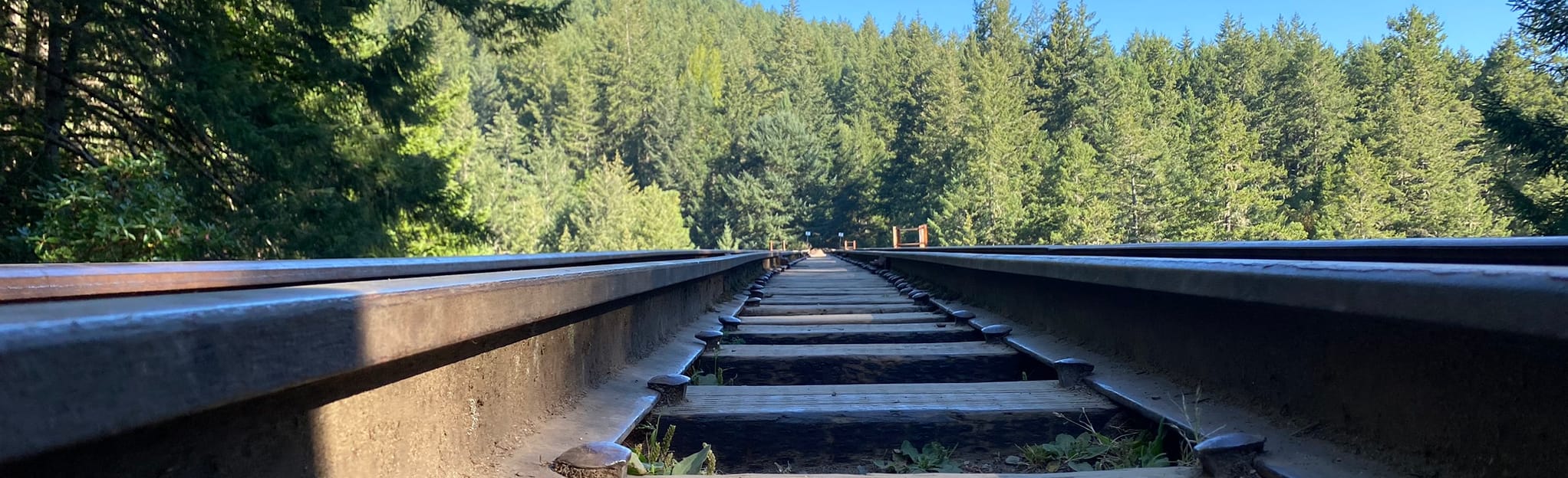 Gold Mine Trail : 288 Reviews, Map - British Columbia, Canada | AllTrails