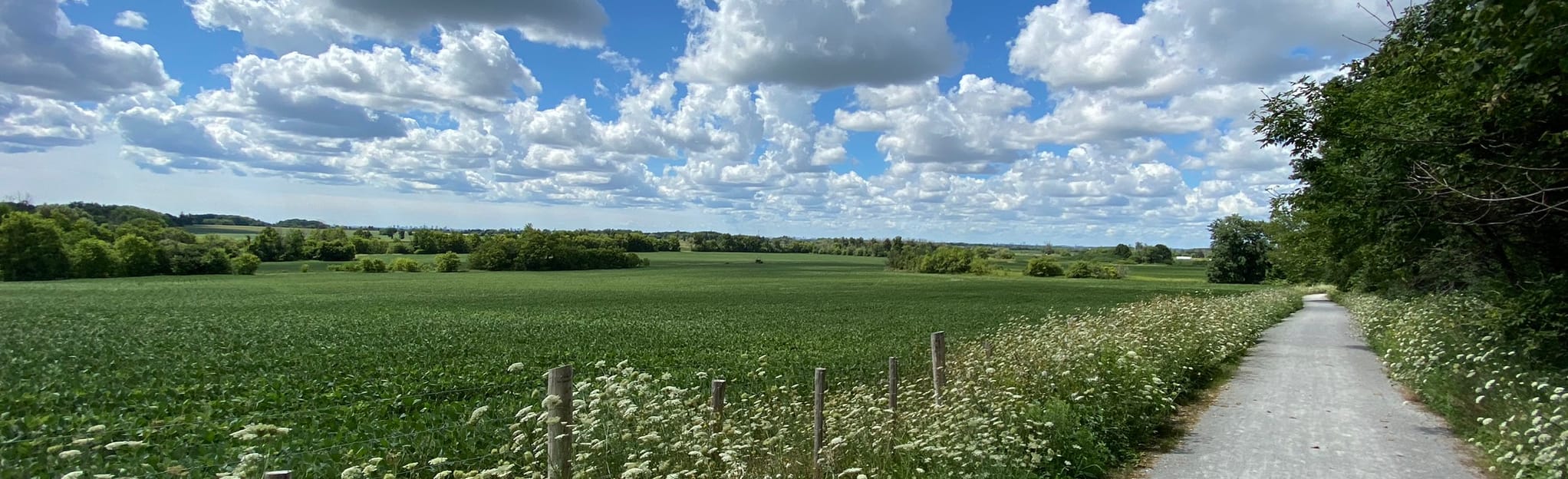 Rouge National Urban Park: Reesor Road Trail: 458 Reviews, Map ...