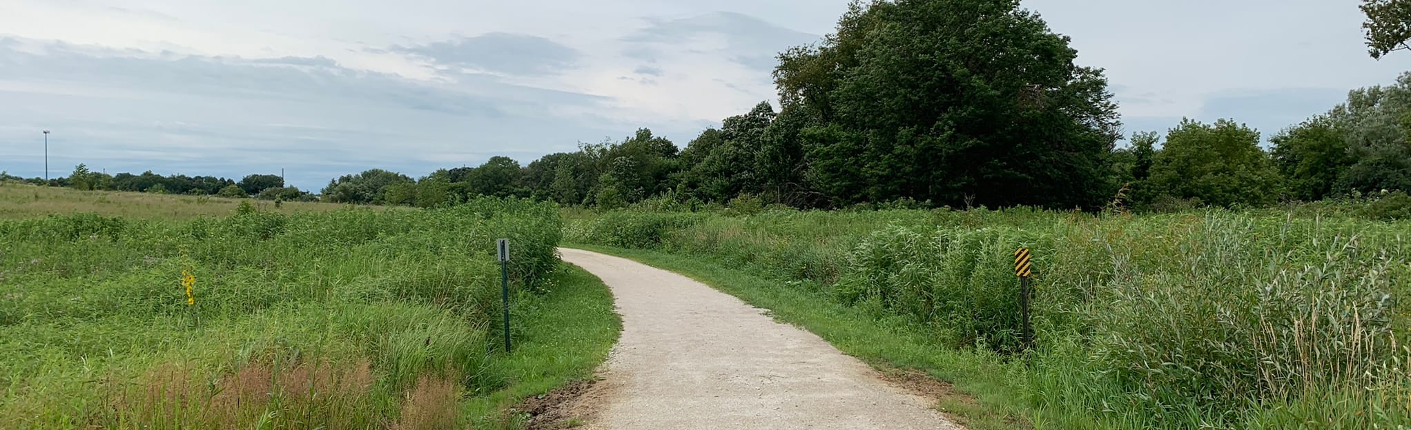 Fitchie Creek Forest Preserve Loop: 228 Reviews, Map - Illinois | AllTrails
