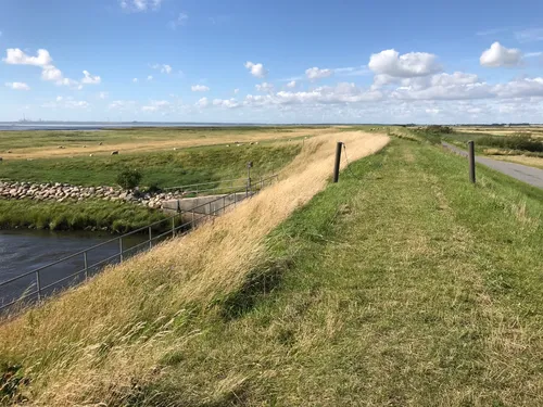 10 Best River Trails in Ribe | AllTrails