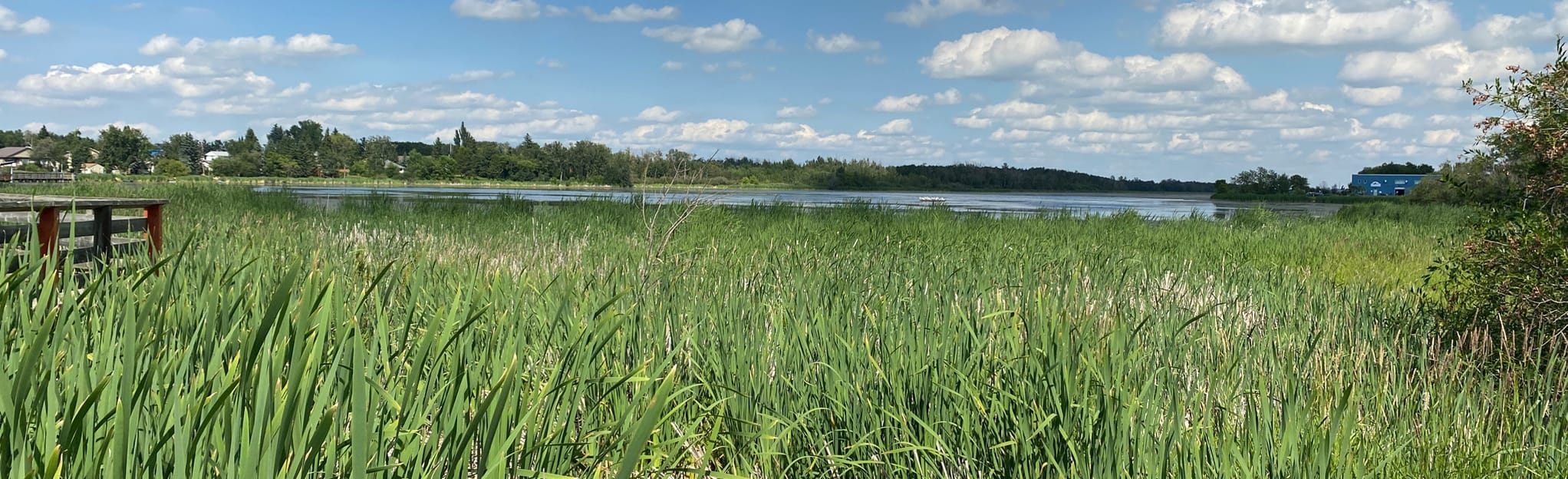 Telford Lake Multiway, Alberta, Canada - 943 Reviews, Map | AllTrails