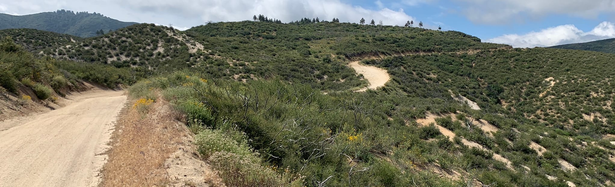 Lake Hughes Truck Trail: 112 Reviews, Map - California | AllTrails