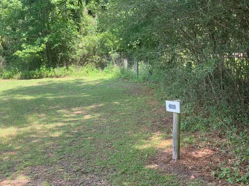 Best Hikes and Trails in Flemington Community Park | AllTrails