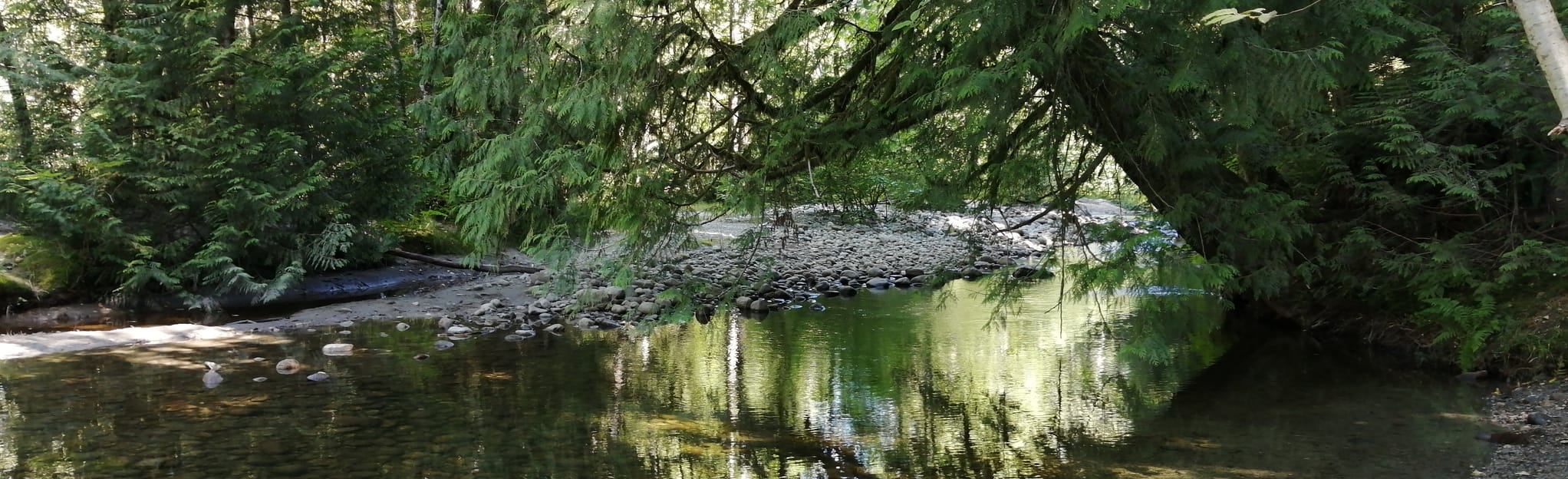 Bullet Dodger via Coquitlam River Trail: 33 Reviews, Map - British ...