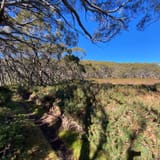 Mount Saint Gwinear and Mount Erica via Australian Alps Walking Track ...