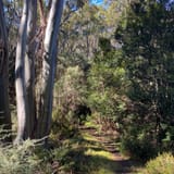 Mount Saint Gwinear and Mount Erica via Australian Alps Walking Track ...