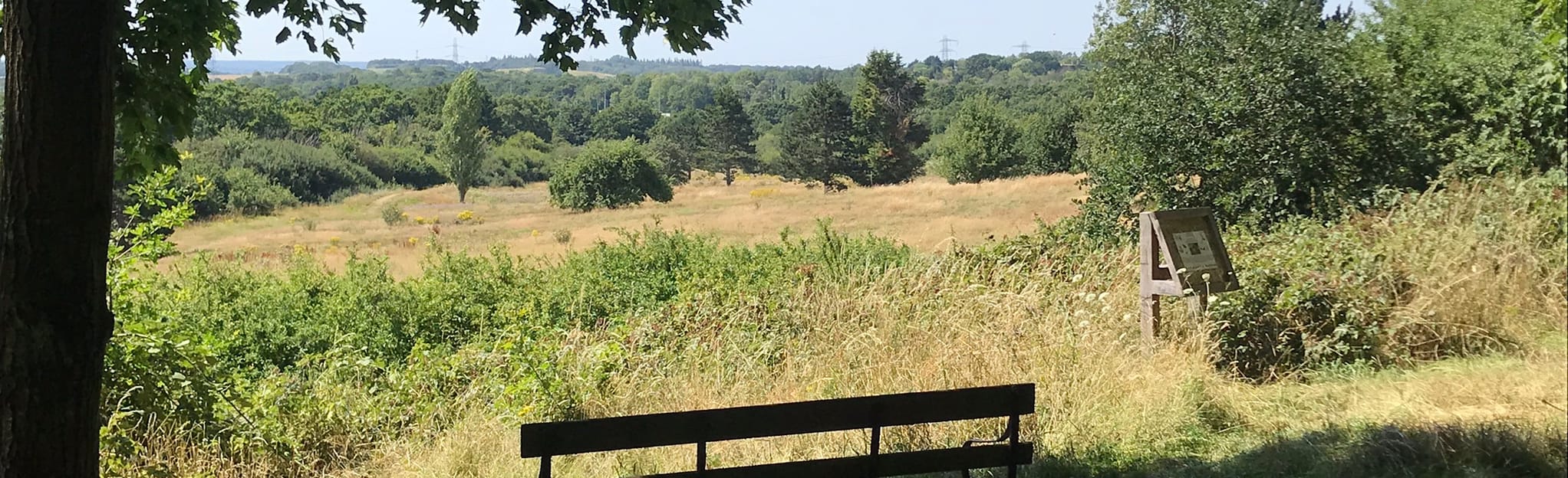 Long Ditton and Chessington Circular, Surrey, England - 5 Reviews, Map ...