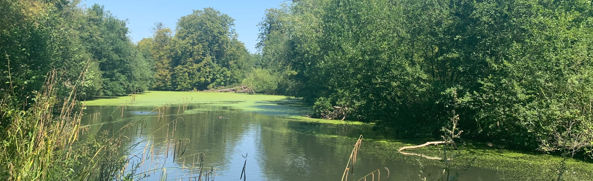 New River Path Part Four: Enfield to Alexandra Palace, London, England ...