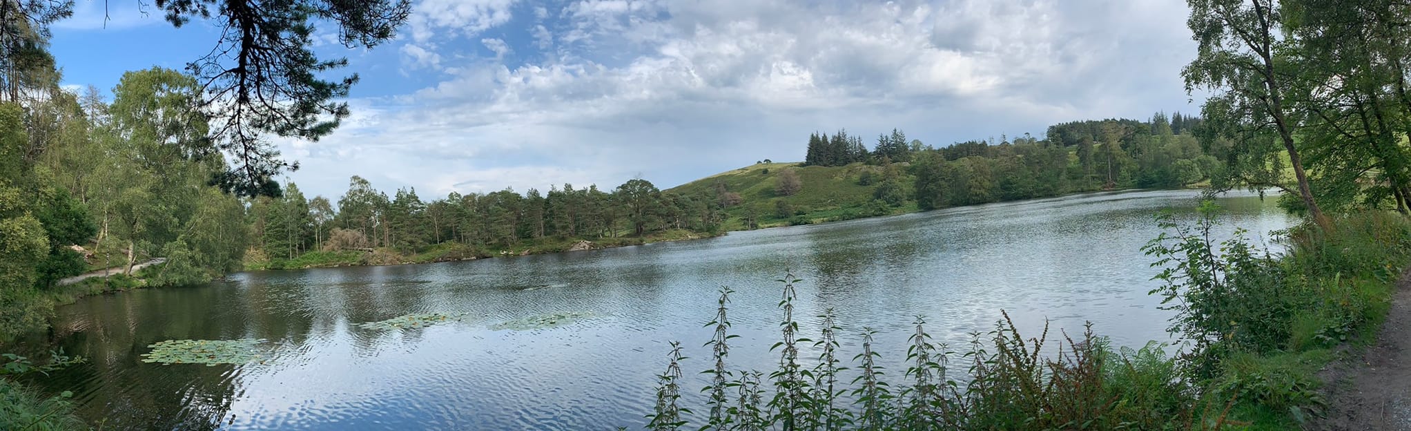 Monk Coniston and Tarn Hows, Cumbria, England - 48 Reviews, Map | AllTrails