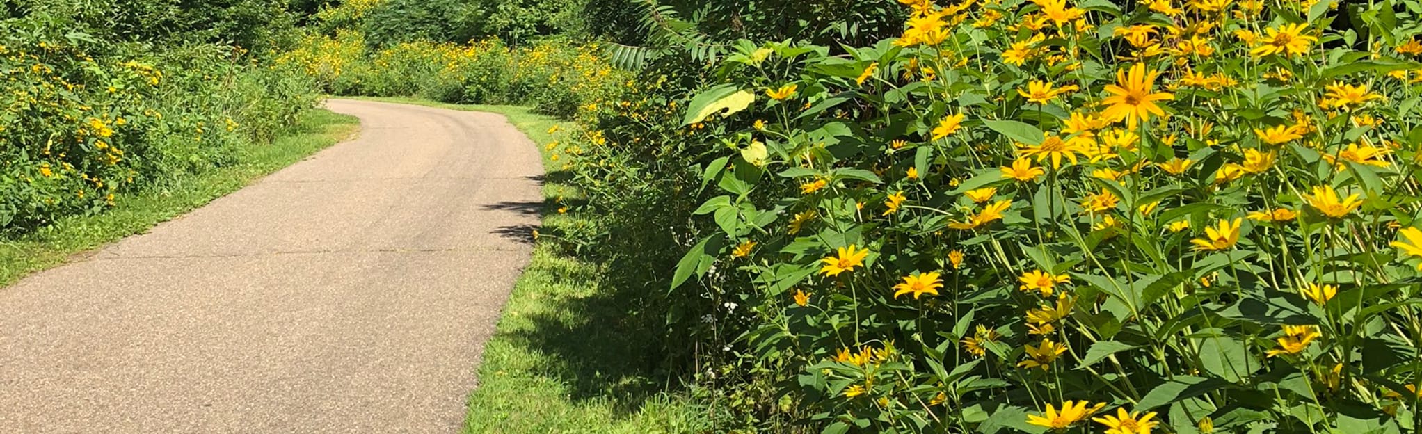AllTrails | Thompson County Park Loop: 150 Reviews, Map - Minnesota