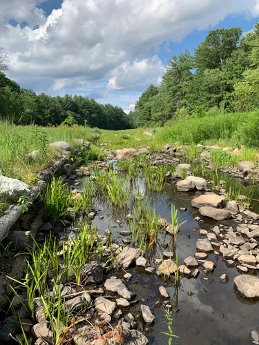 Best 10 Hikes and Trails in Meshomasic State Forest | AllTrails