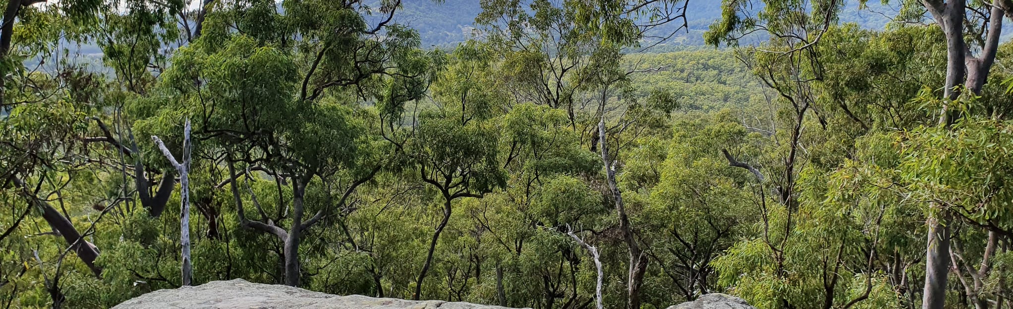 Plunkett Caves Walk, Queensland, Australia - 102 Reviews, Map | AllTrails