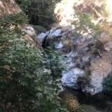 Spruce Grove Campground Trail, California - 517 Reviews, Map | AllTrails