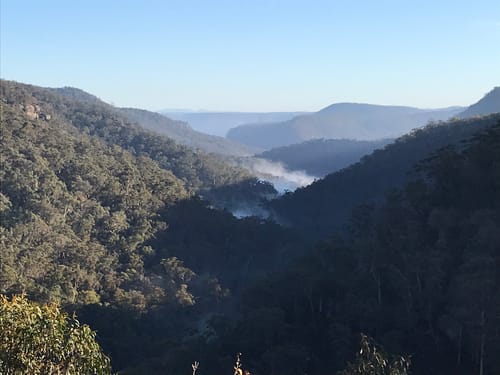 2023 Best Views Trails in Jellore State Forest | AllTrails