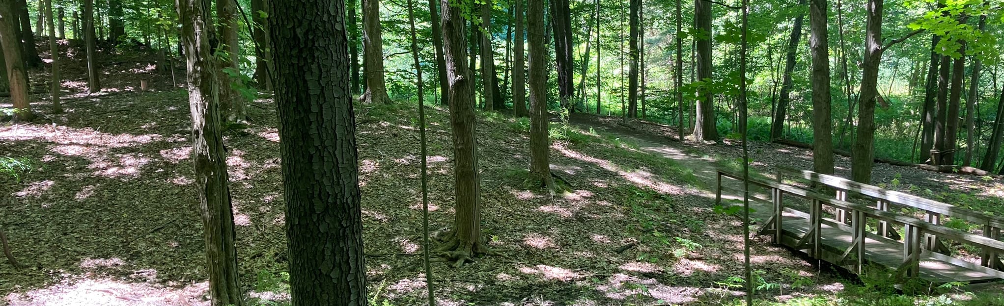 Helmer Nature Center Trails, 8 Photos - New York | AllTrails