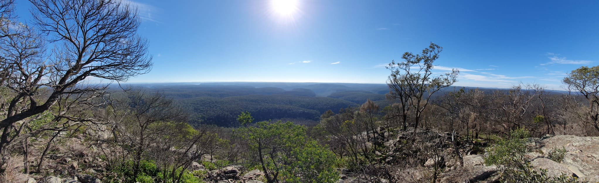 Mount Jellore Summit: 76 Reviews, Map - New South Wales, Australia ...