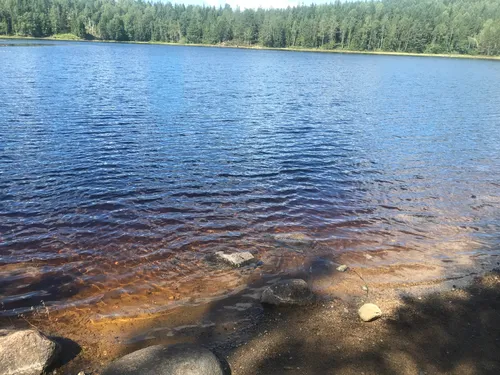 2023 Best Long Trails in Ånnaboda Nature Reserve | AllTrails