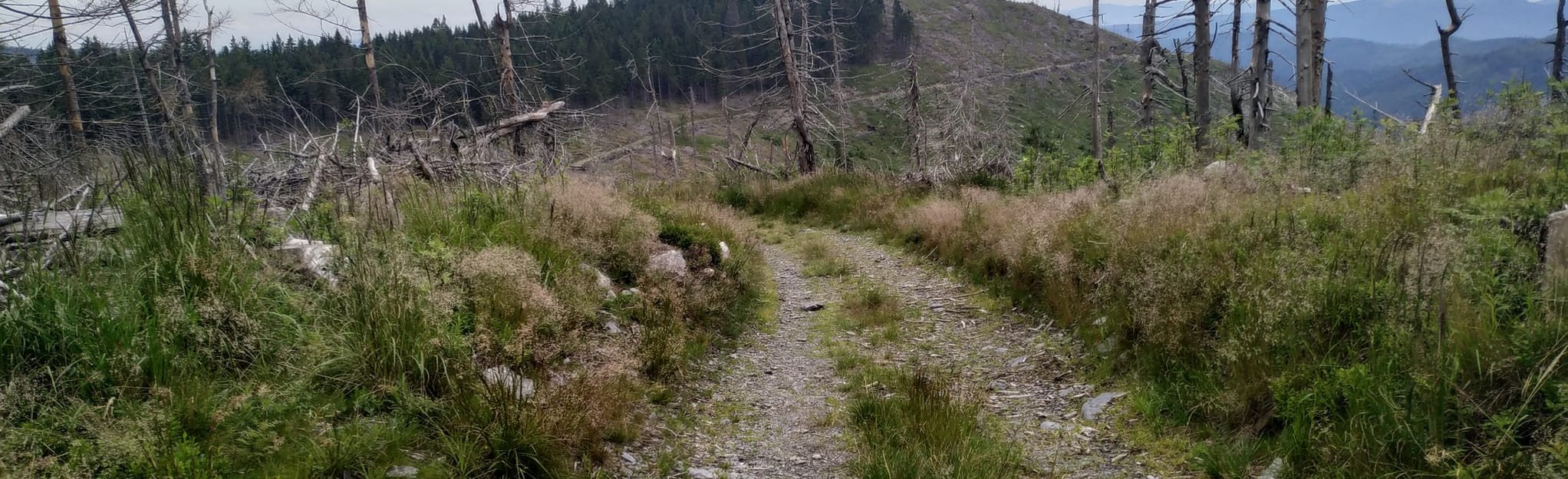 AllTrails | Henclová - Skalisko Loop: 0 Reviews, Map - Košice, Slovakia