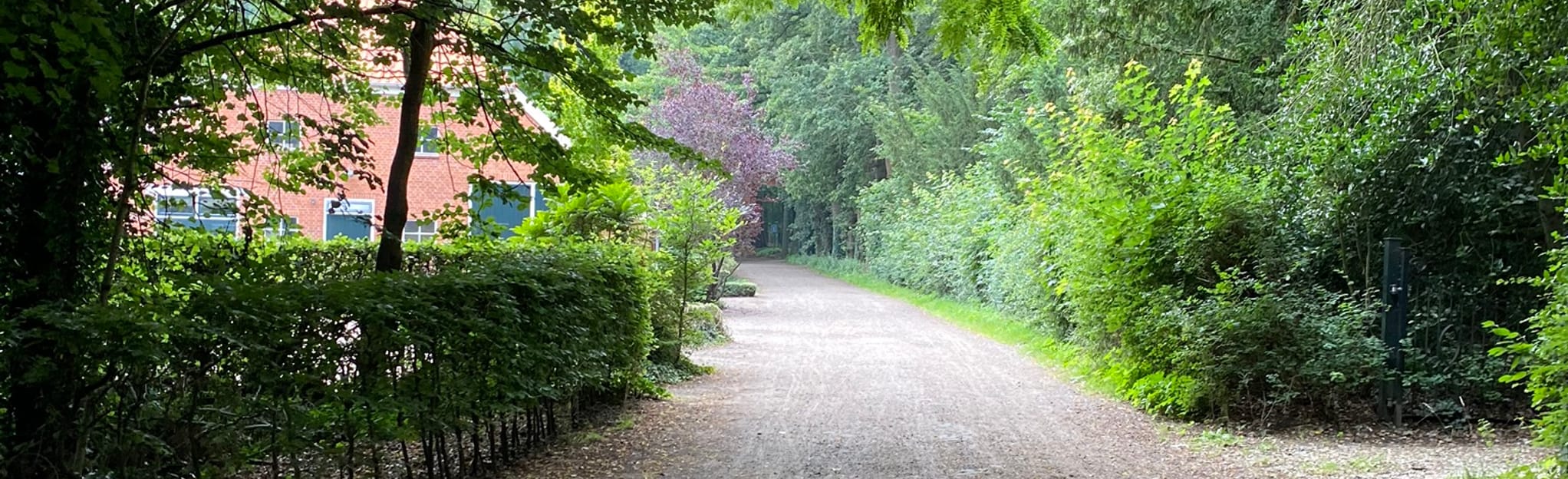 Oosterbroek - Witte Molen - Vosbergen - Drenthe, Netherlands | AllTrails