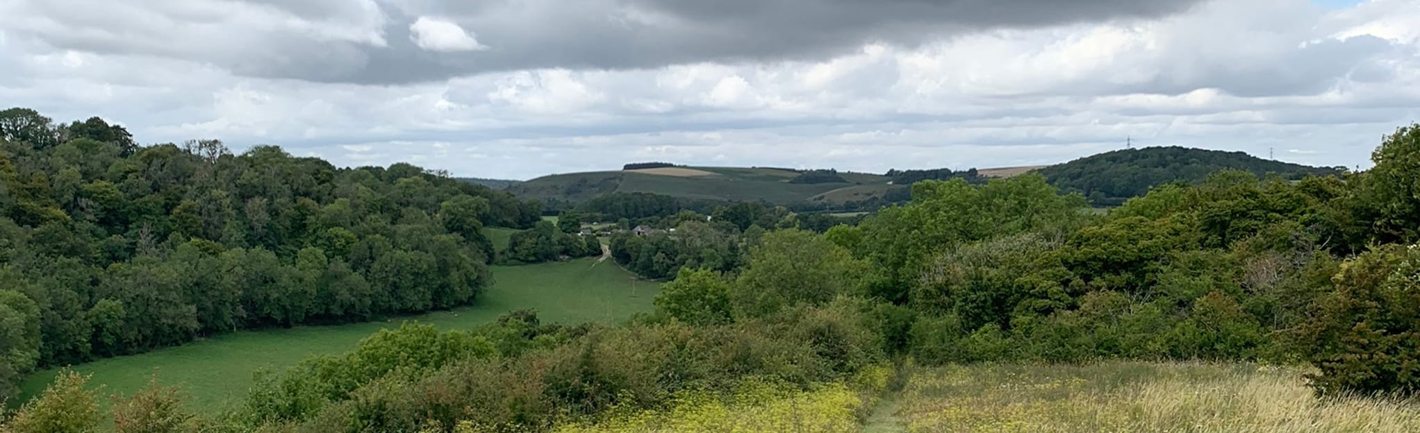 Butser Hill Circular: 187 Reviews, Map - Hampshire, England | AllTrails