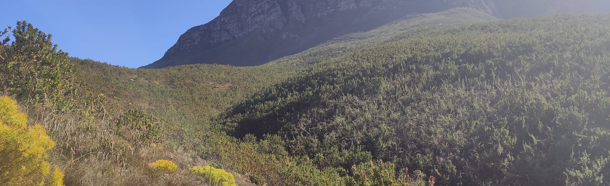 Helderberg Dome via Protea Trail and Leopard Trail: 53 Reviews, Map ...
