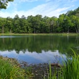 Faurot Park Nature Walk, Ohio - 9 Reviews, Map | AllTrails