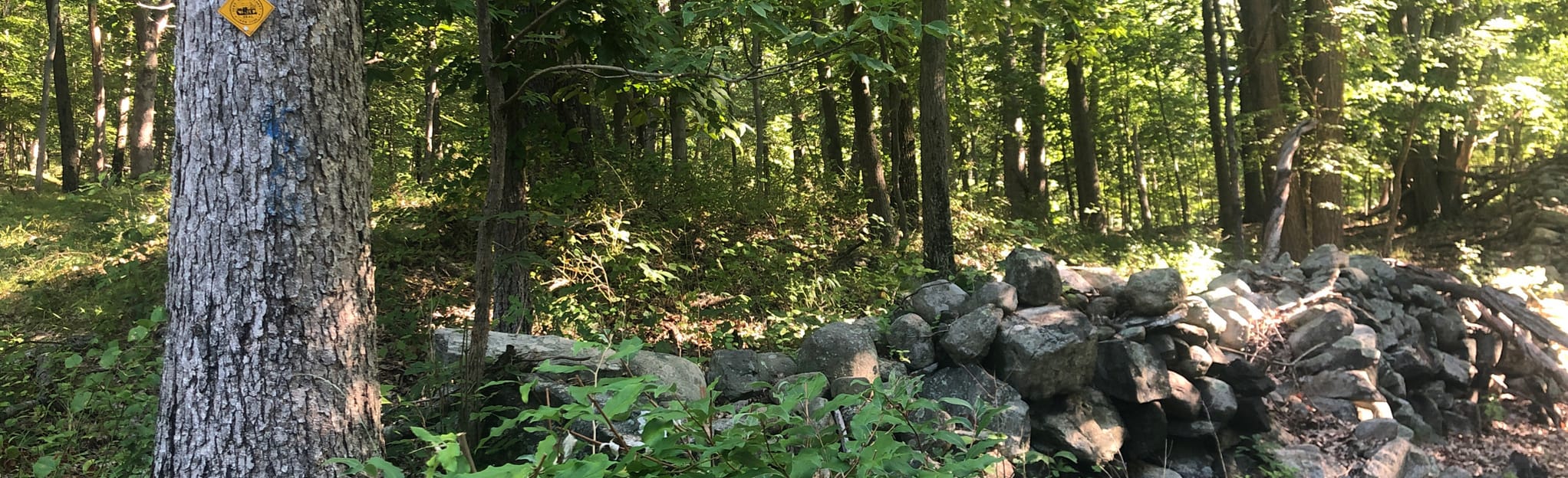 Hudson Highlands East Summit via New Yellow Loop, New York - 12 Reviews ...