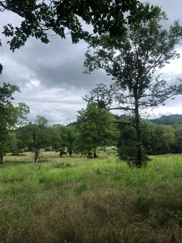 Best Hikes and Trails in Edwin Warner Park | AllTrails