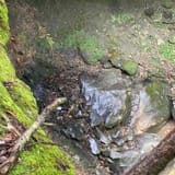 Alcorn Branch Falls, Kentucky - 23 Reviews, Map | AllTrails