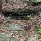 Alcorn Branch Falls, Kentucky - 23 Reviews, Map | AllTrails