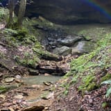 Alcorn Branch Falls, Kentucky - 23 Reviews, Map | AllTrails