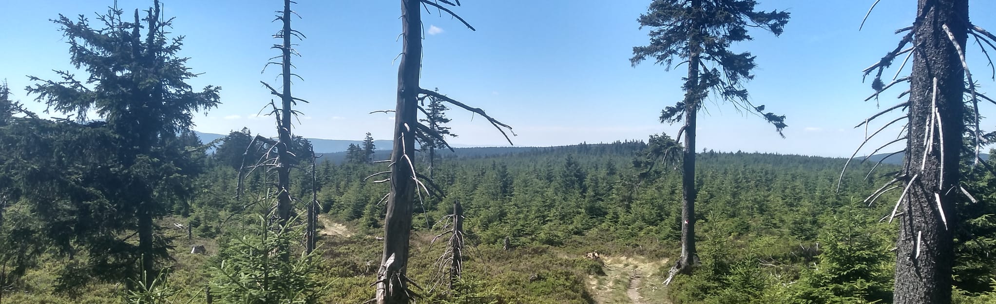 Ramzová - Smrk, Olomouc, Czech Republic - Map, Guide | AllTrails