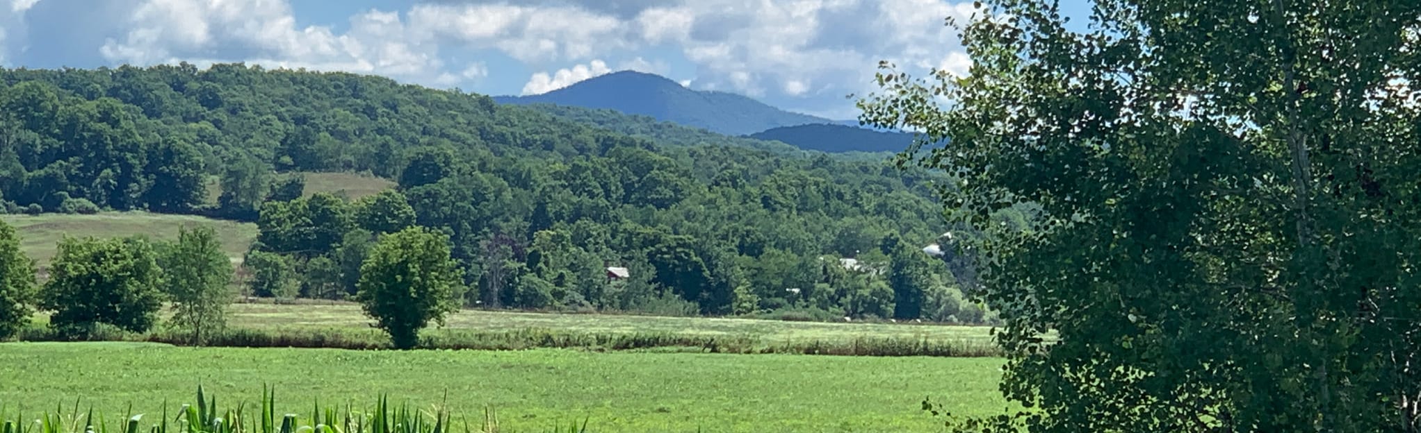AllTrails | Delaware and Hudson Rail Trail: Granville, NY to Rupert, VT ...