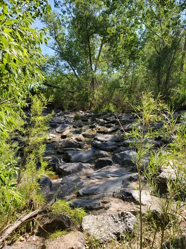 Best Hikes and Trails in Lone Tree | AllTrails