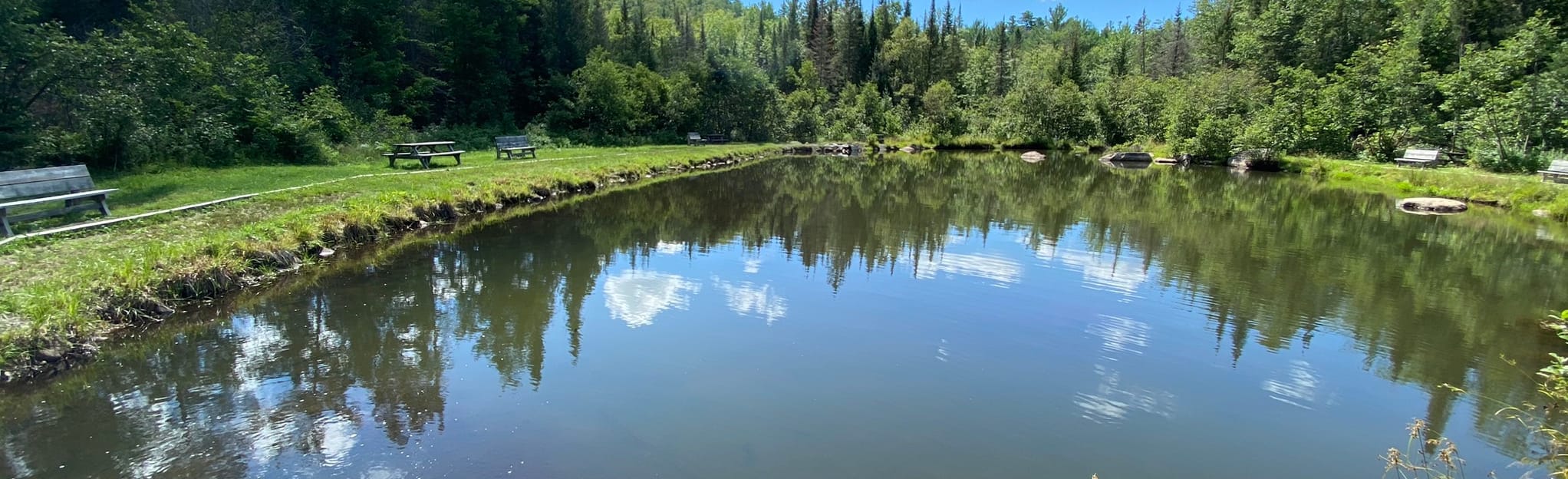 Parc de la rivière Doncaster: 474 Reviews, Map - Quebec, Canada | AllTrails