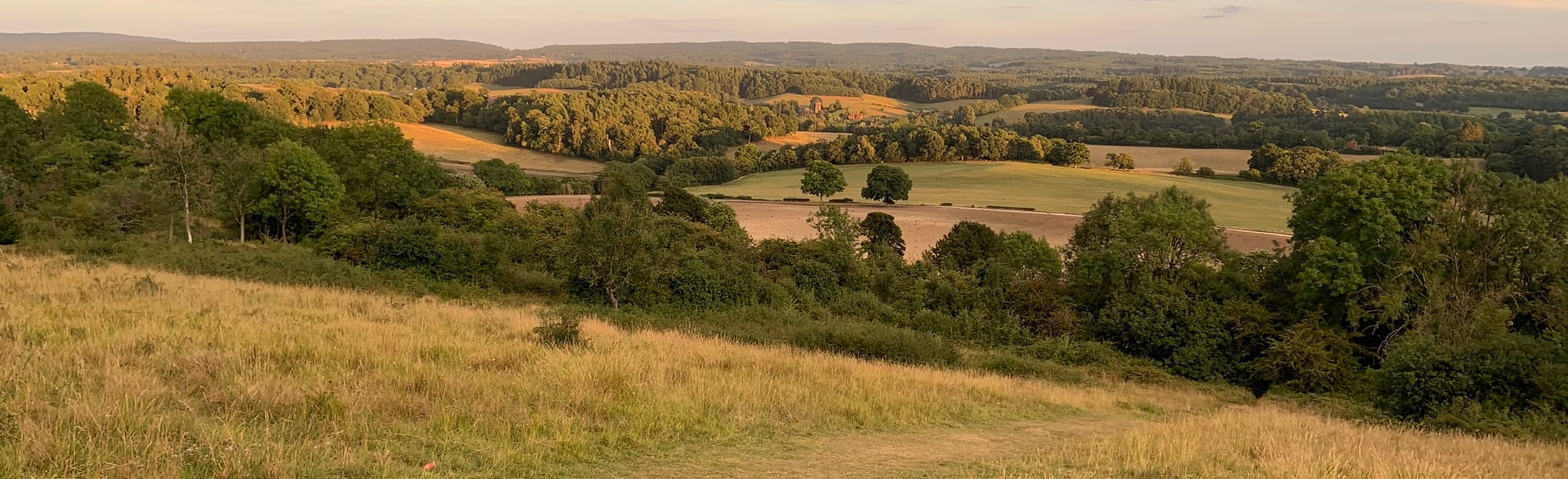 Shere, Shamley Green and Farley Green Circular, Surrey, England - 51 ...