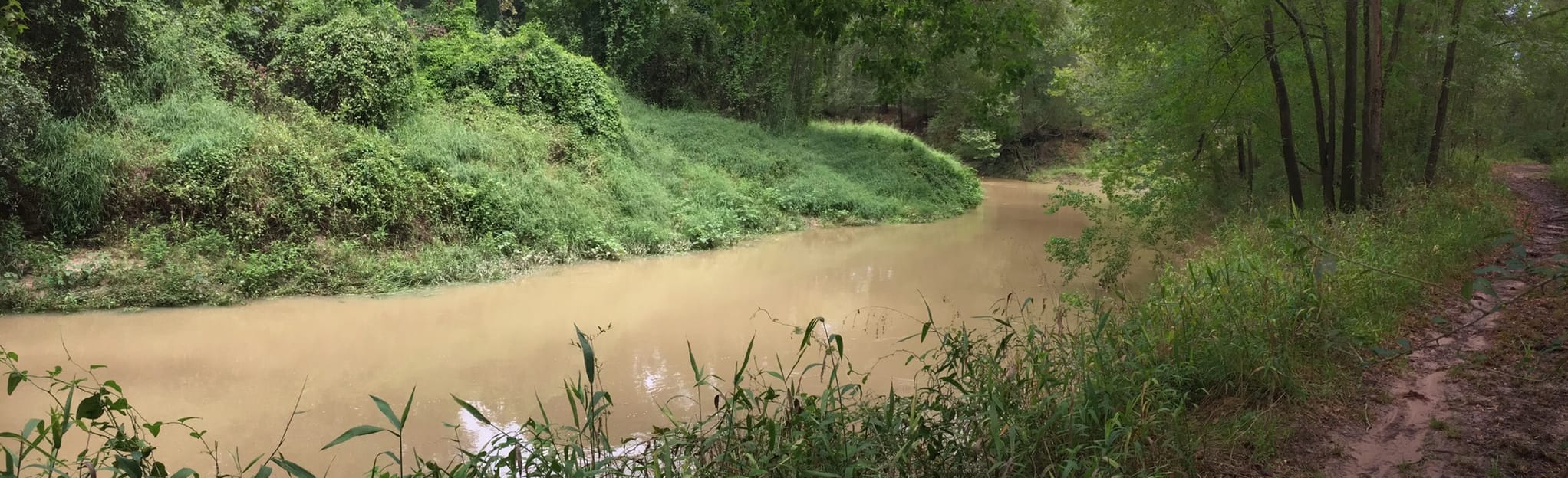 Bud Hadfield Park Trail: 130 Reviews, Map - Texas | AllTrails