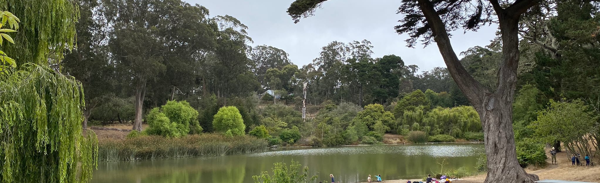 Golden Gate Park Perimeter Loop | Map, Guide - California | AllTrails