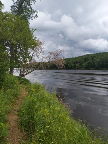 Best Hikes and Trails in Wild River State Park | AllTrails