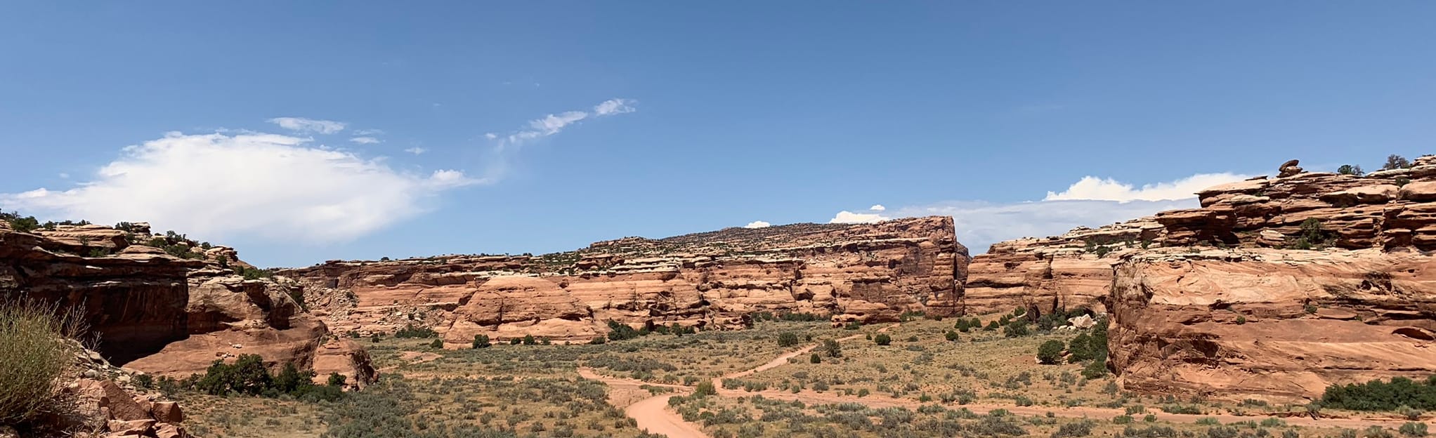 Bull Canyon Trail: 8 Reviews, Map - Utah | AllTrails