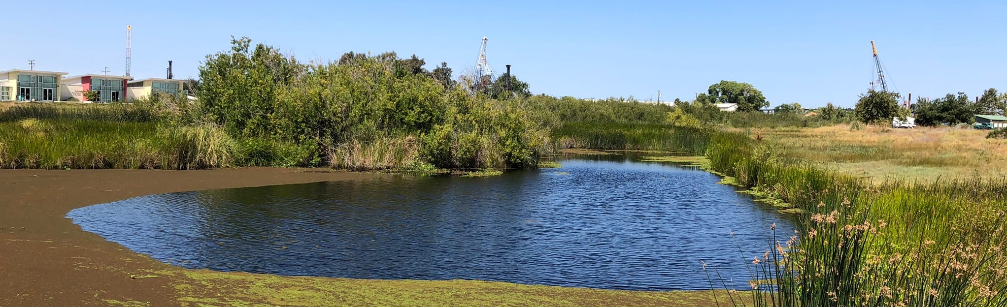 Big Break and Levee Top Loop : 126 Photos - Californie | Randonnée ...